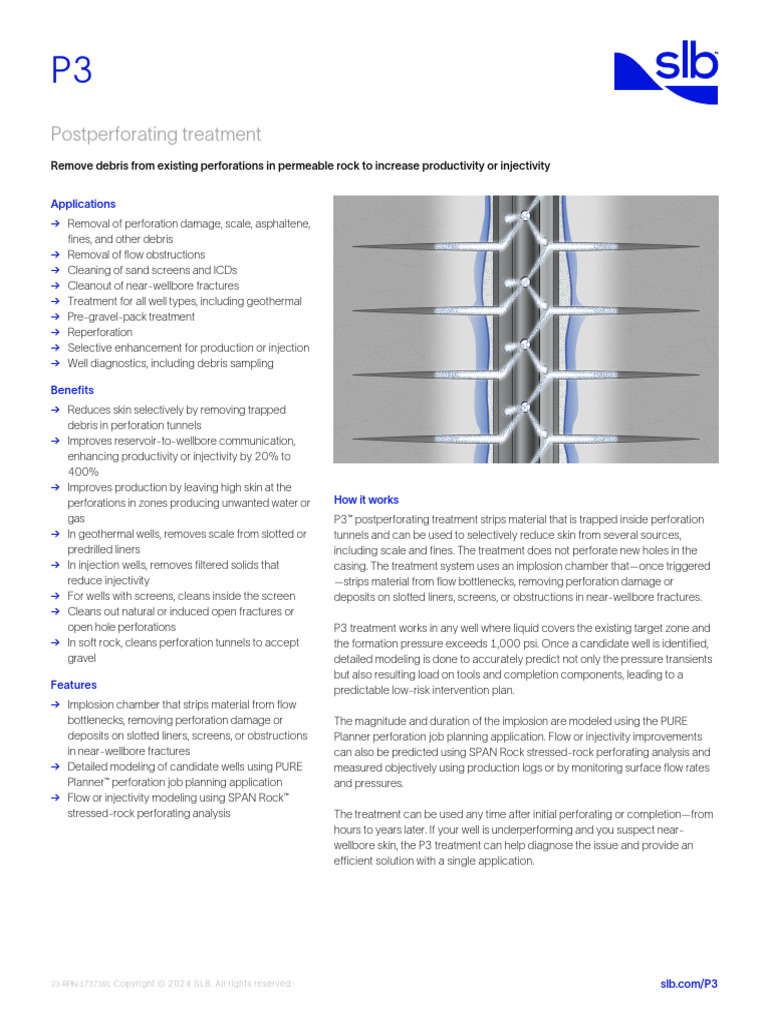 P3_Data_Sheet | PDF | Applied And Interdisciplinary Physics