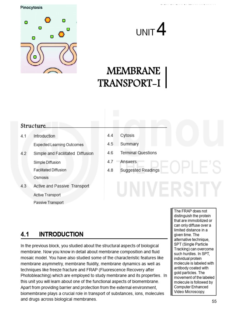 Membrane Transport Mechanisms | PDF | Cell Membrane | Membrane Potential