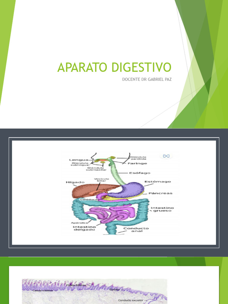 Clases III Parcial | PDF Clases III Parcial | PDF