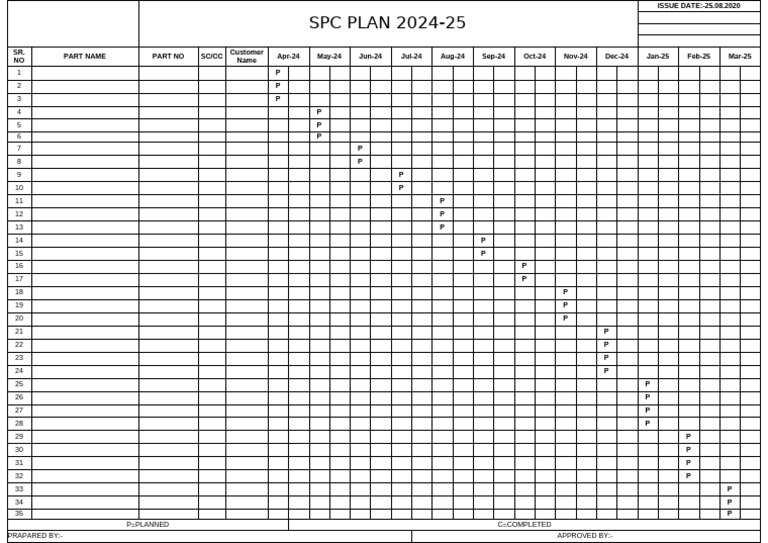 SPC Plan 2024-25 | PDF