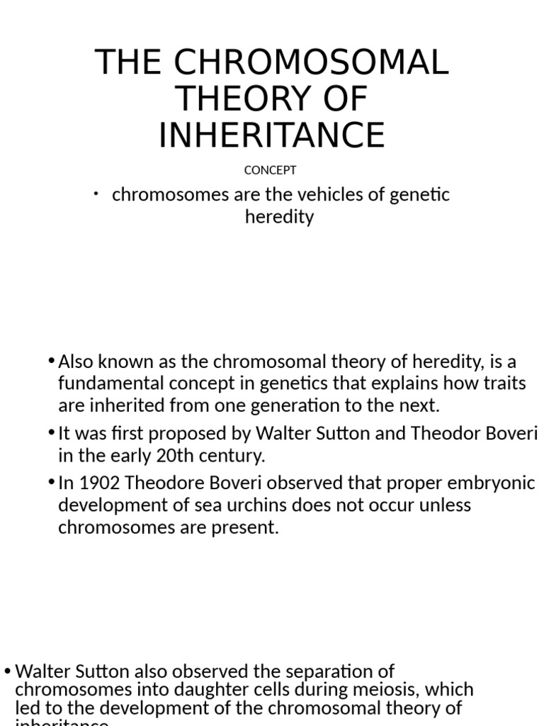The Chromosomal Theory of Inheritance Presantation | PDF | Heredity ...