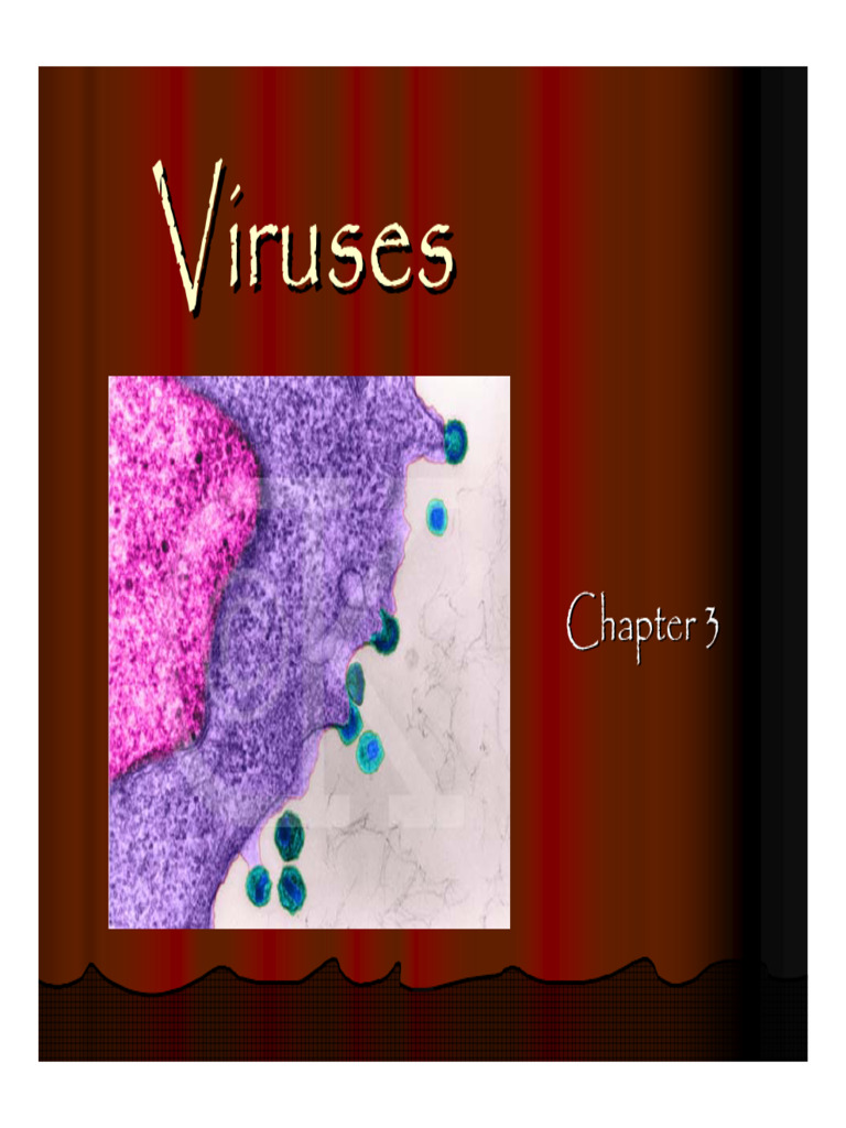 Understanding Viruses: Characteristics & Life Cycles | PDF | Virus ...
