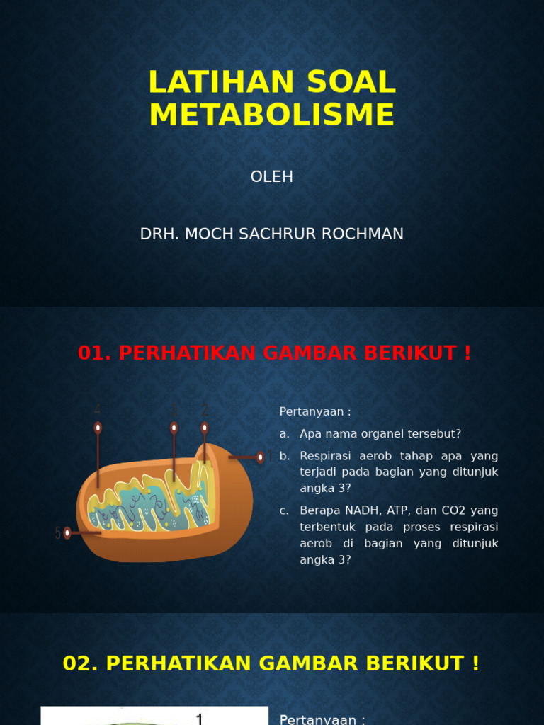 Latihan Soal Metabolisme | PDF