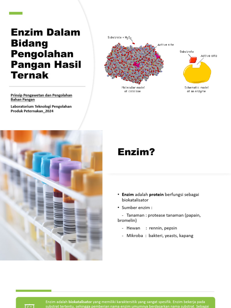 Enzim Protease dan Rennet dalam Pangan | PDF