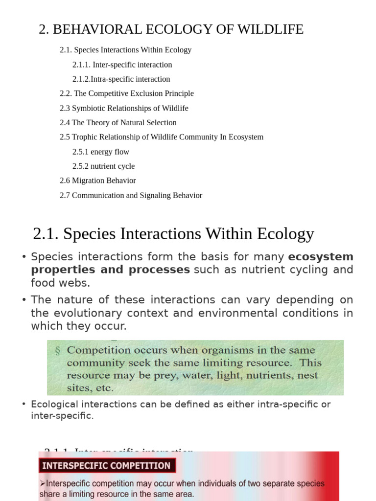Behavioural Ecology of Wildlife | PDF | Natural Selection | Ecological ...