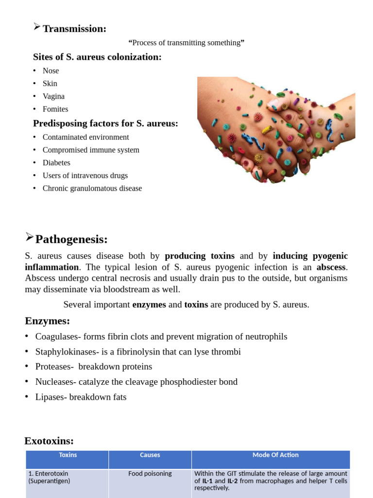 Micro ppt | PDF | Staphylococcus Aureus | Necrosis