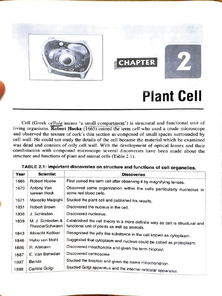 plant cell botany 104 | PDF | Cell (Biology) | Chloroplast