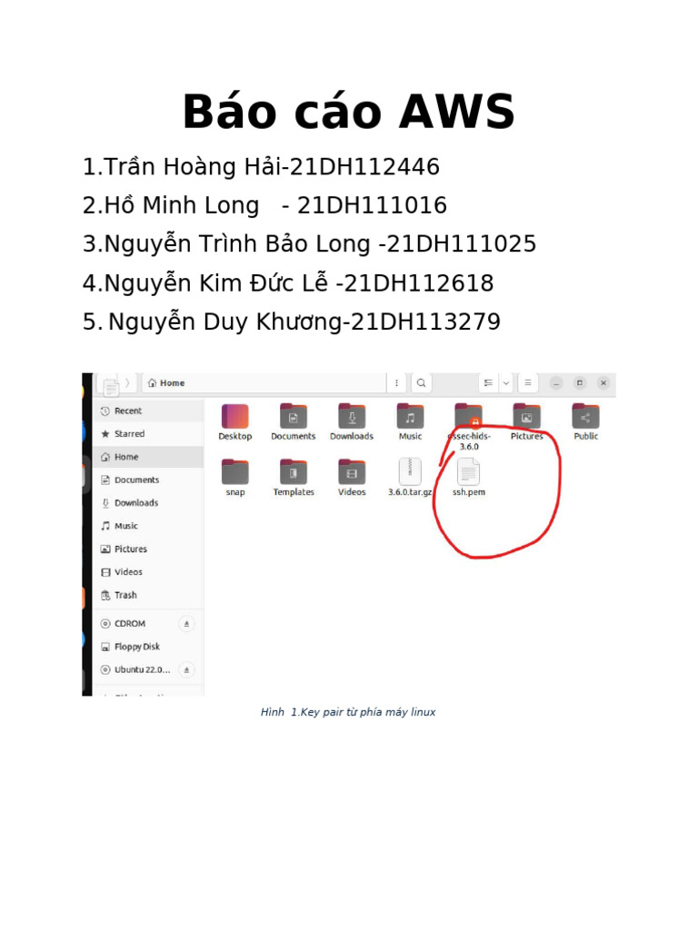 Báo Cáo AWS | PDF