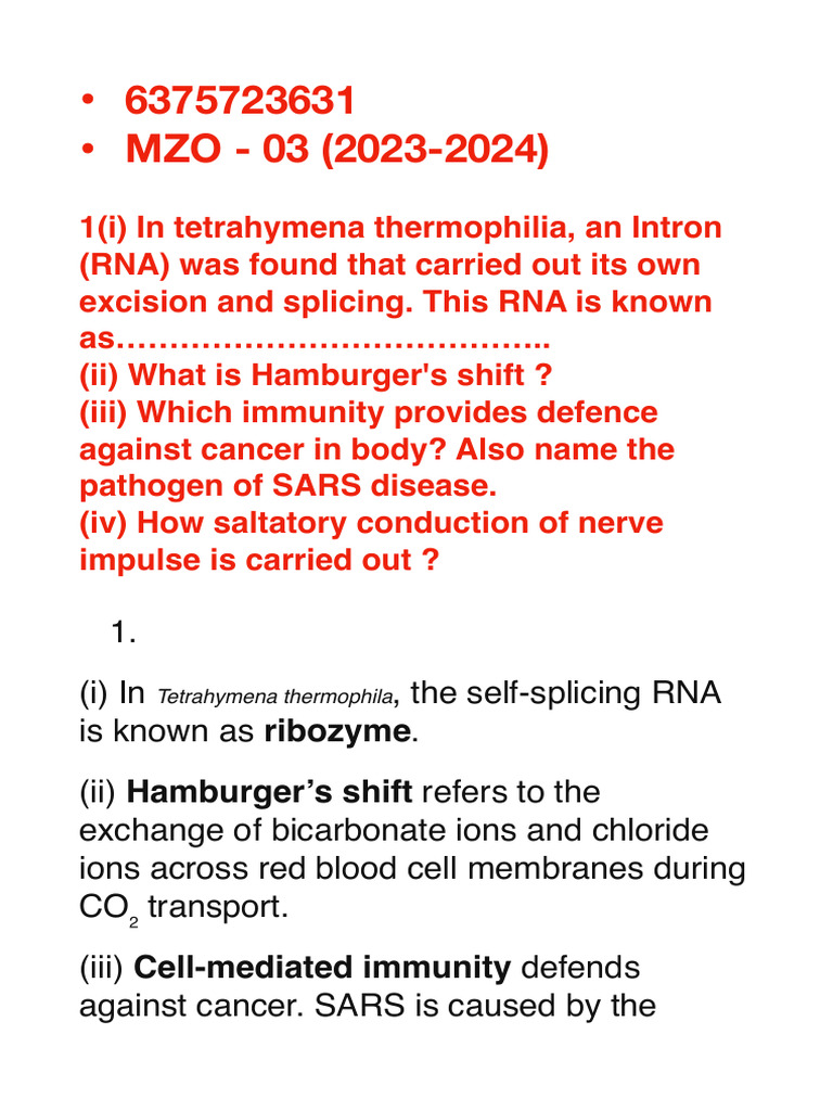 MZO-03 (2023-2024) | PDF | Dna Sequencing | Antibody
