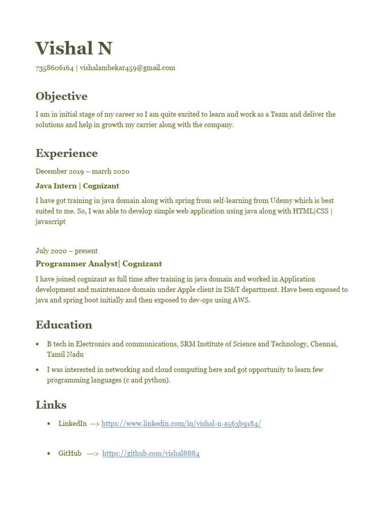 Vishal Resume | PDF