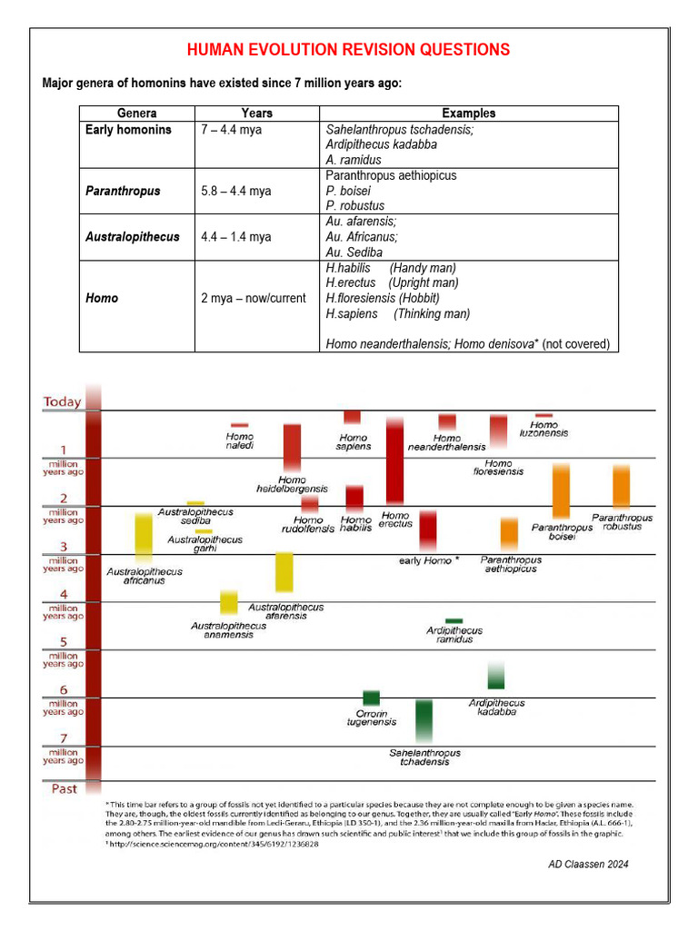 Grade 12 Human Evolution BC Qs | PDF | Homo | Bipedalism