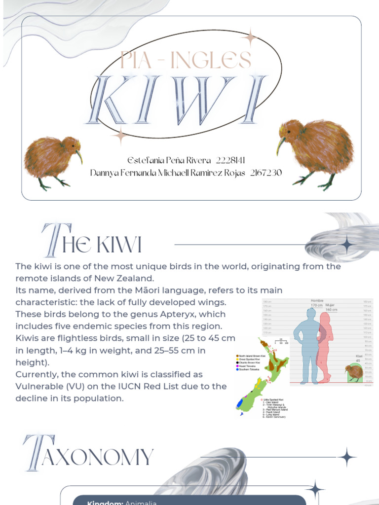 Kiwi Bird: Unique Traits and Conservation | PDF | Ornithology | Birds