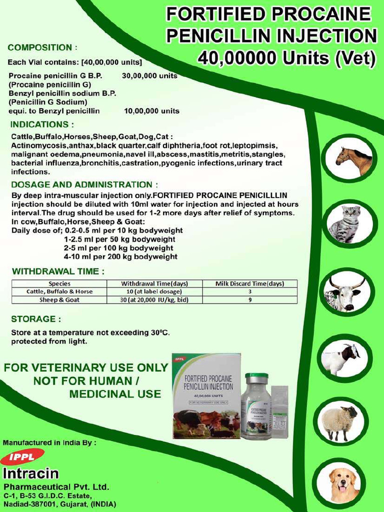 Fortified Procaine Penicillin Injection 40 00000 Units | PDF
