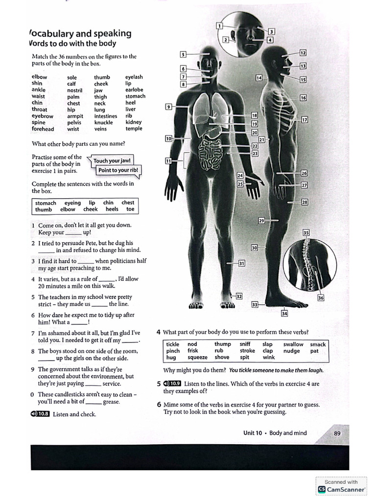 Bodyparts | PDF