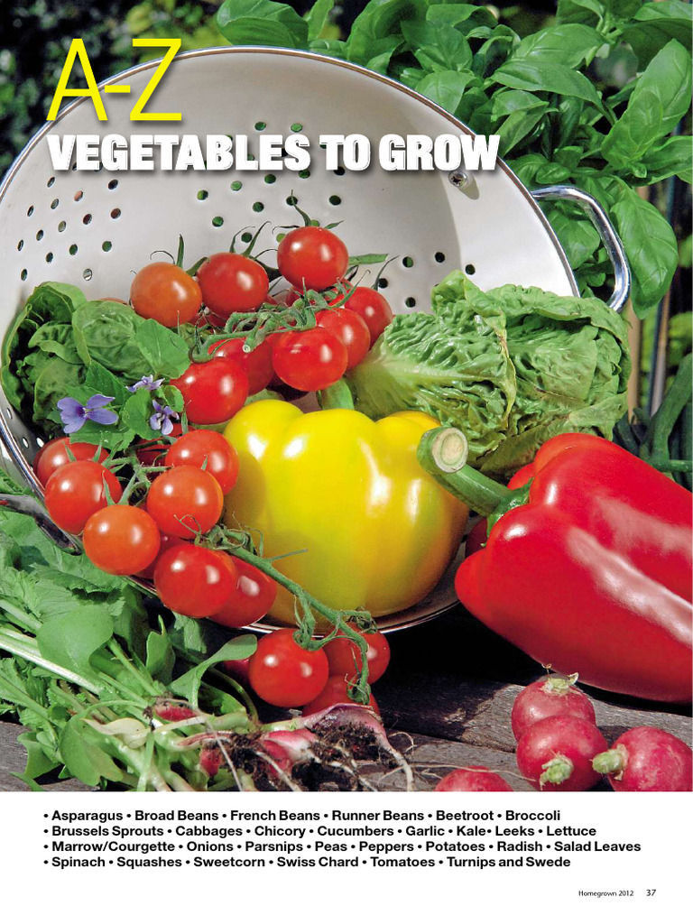 Homegrown - A-z Vegetables to Grow | PDF | Sowing | Broccoli