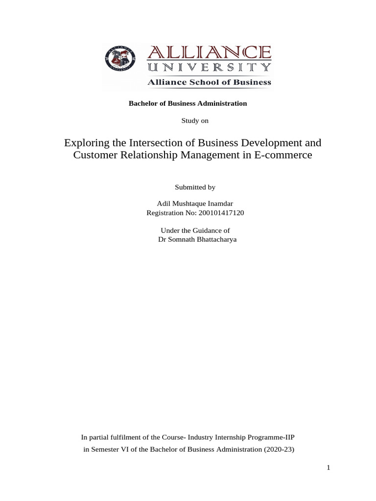 Adil IIP Internship Report | PDF | E Commerce | Online Shopping