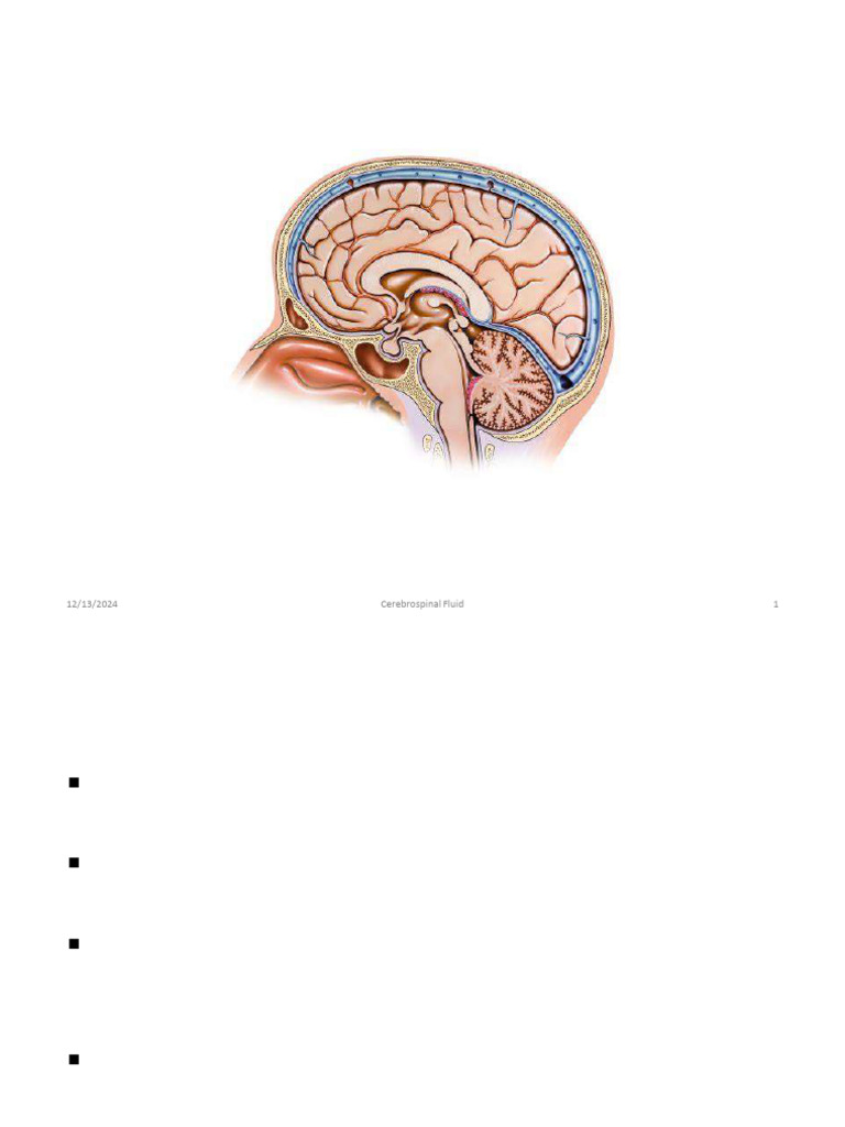 L21 CSF | PDF | Cerebrospinal Fluid | Physiology