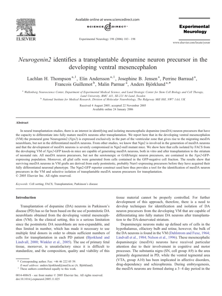 2006 Neurogenin2 Identifies A Transplantable Dopamine Neuron Precursor ...