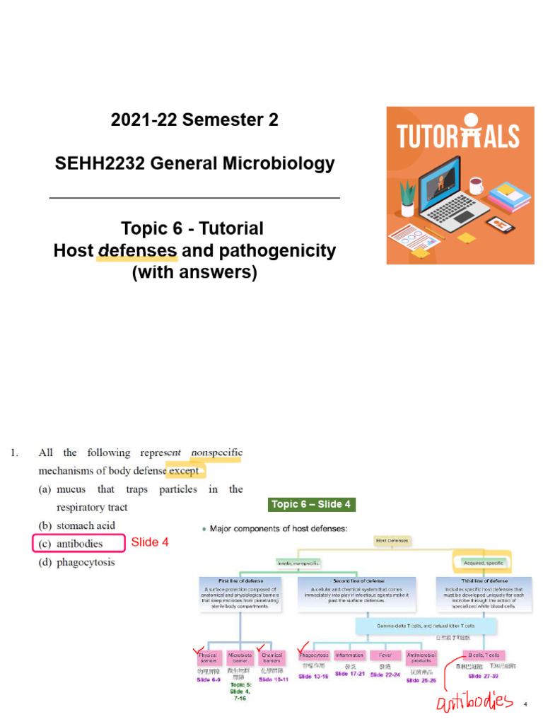 Sehh2232 T06 | PDF | Immune System | Adaptive Immune System