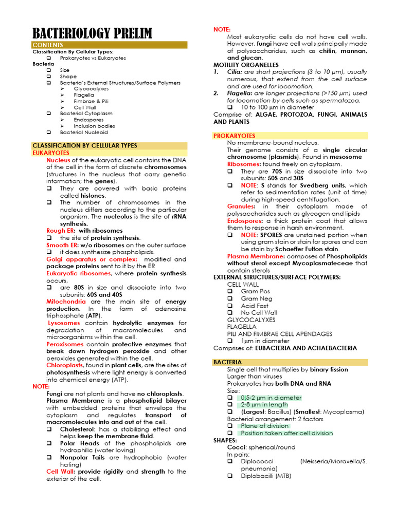 Bacteriology: Prokaryotes vs Eukaryotes | PDF | Cell (Biology) | Bacteria