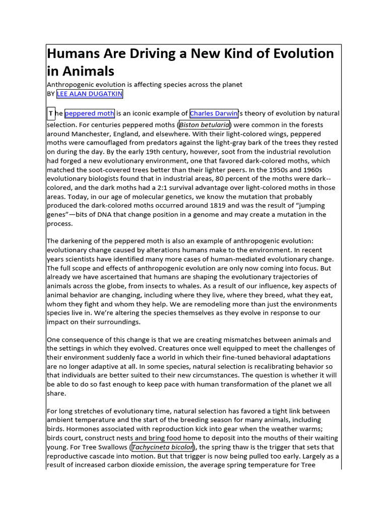 Reading Comprehension - Grade 10 - Practice | PDF | Evolution | Birds