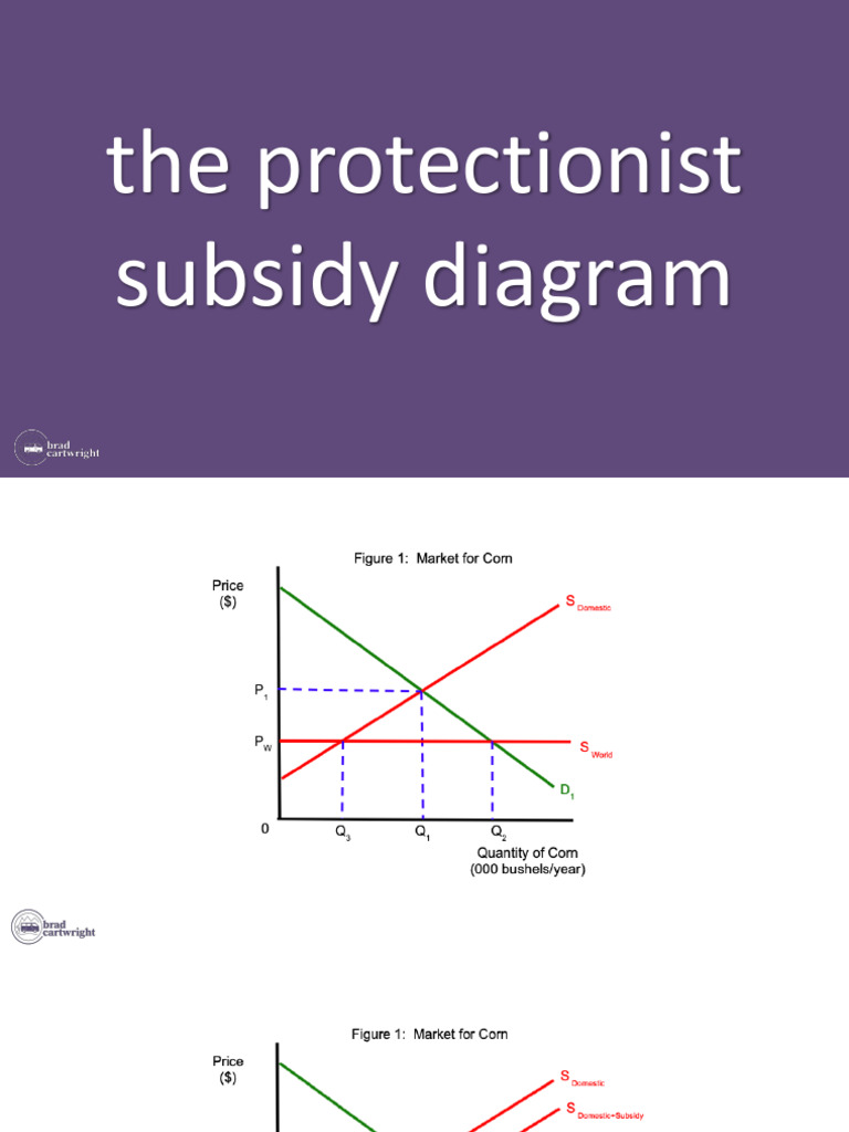 6.++Protectionist+Subsidy+Diagram | PDF