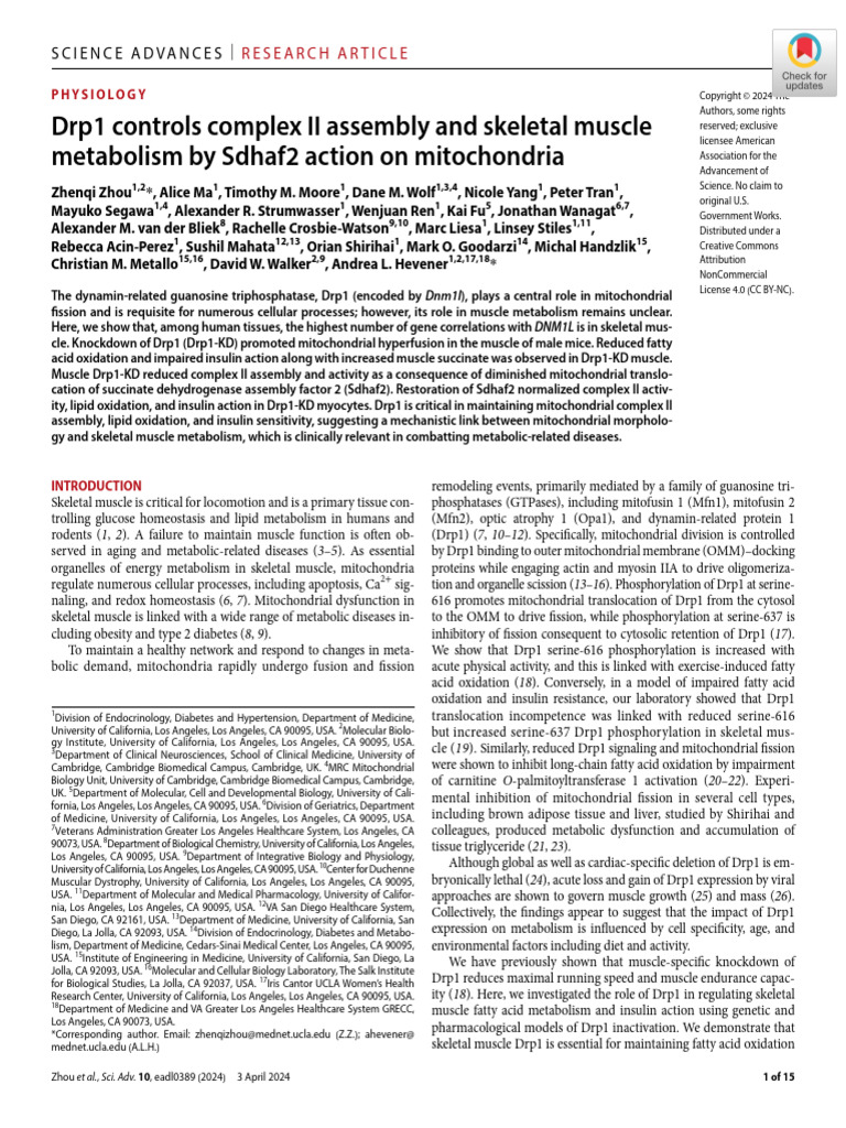 2024 Drp1 Controls Complex II Assembly and Skeletal Muscle Metabolism ...