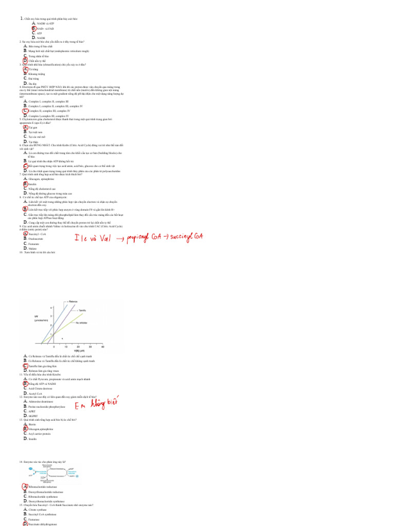 RHM 2021 Đã Sửa | PDF