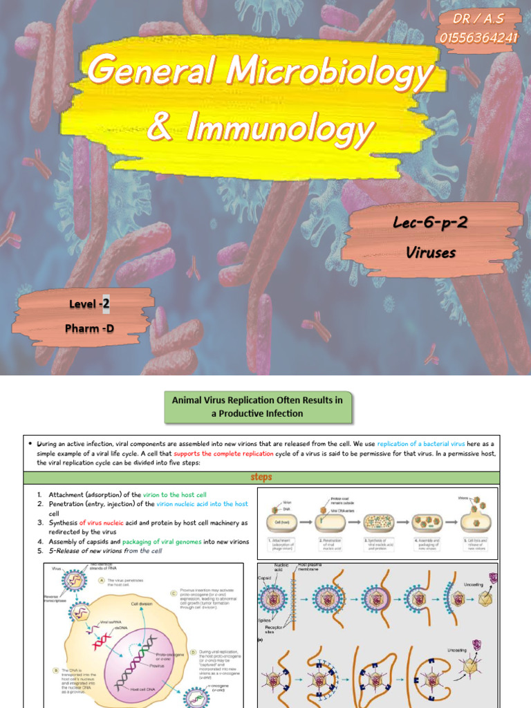 Viral Replication and Fungal Morphology | PDF | Virus | Fungus