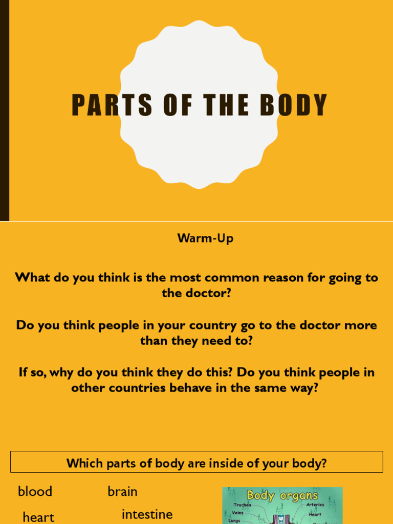 Understanding Body Parts and Injuries | PDF | Musculoskeletal System ...