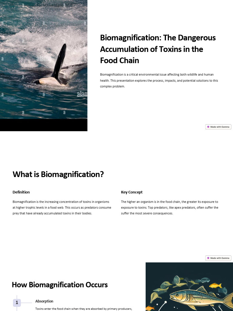 Biomagnification The Dangerous Accumulation of Toxins in The Food Chain ...