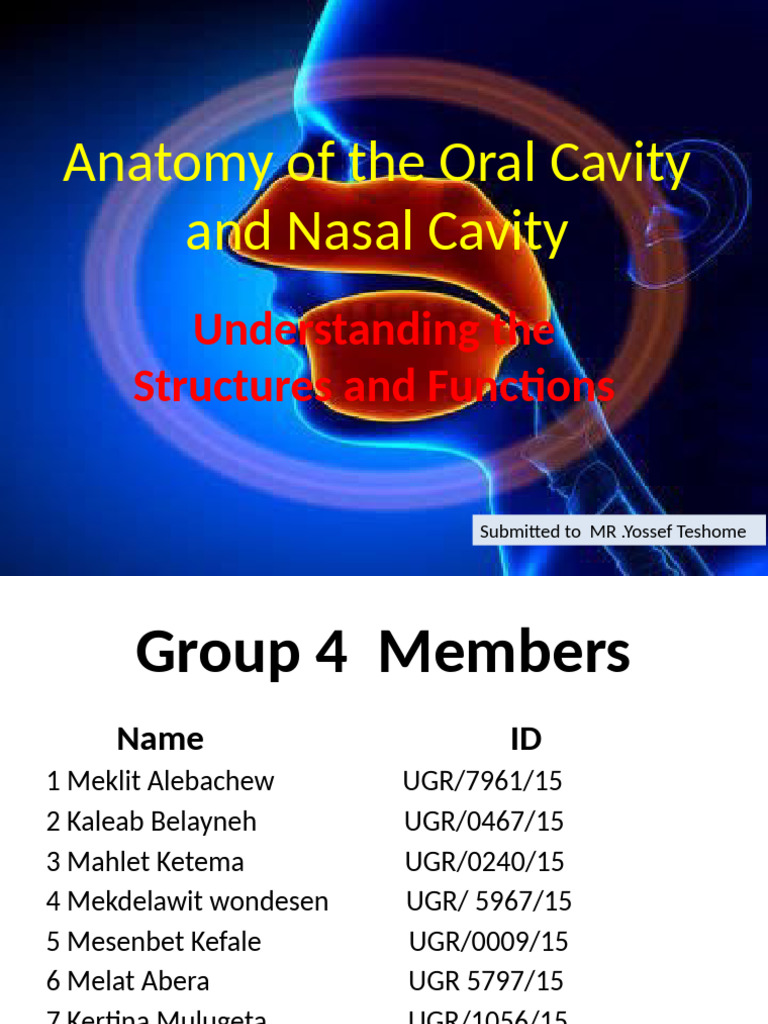 Anatomy of the Oral Cavity and Nasal Cavity | PDF | Human Nose ...