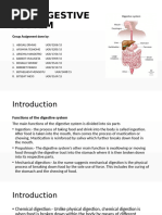 Digestive System Anatomy | PDF | Human Digestive System | Stomach