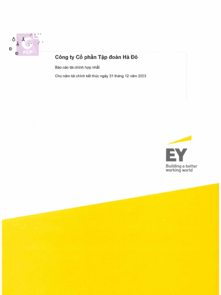 HDG Baocaotaichinh 2023 Kiemtoan Hopnhat 1 | PDF