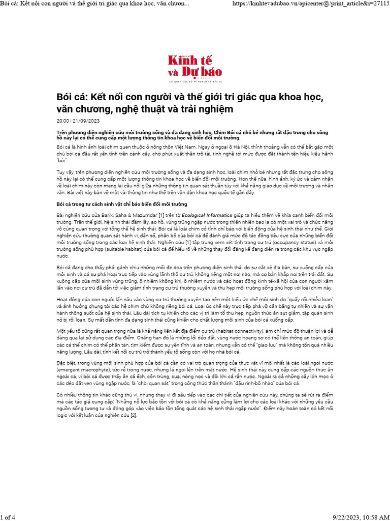 Bói Cá: K TN Iconng I Và TH Gi I Tri Giác Qua Khoa H C, V NCH NG, NGH Thu T Và TR I Nghi M | PDF