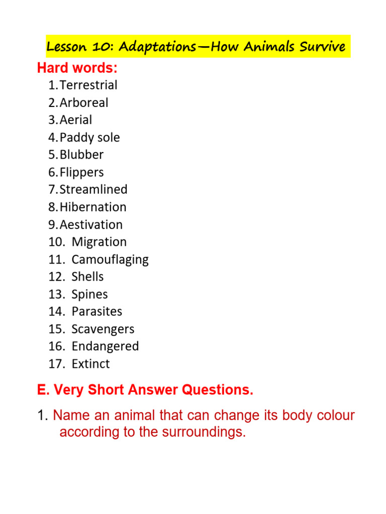 Animal Adaptations for Survival | PDF | Bears
