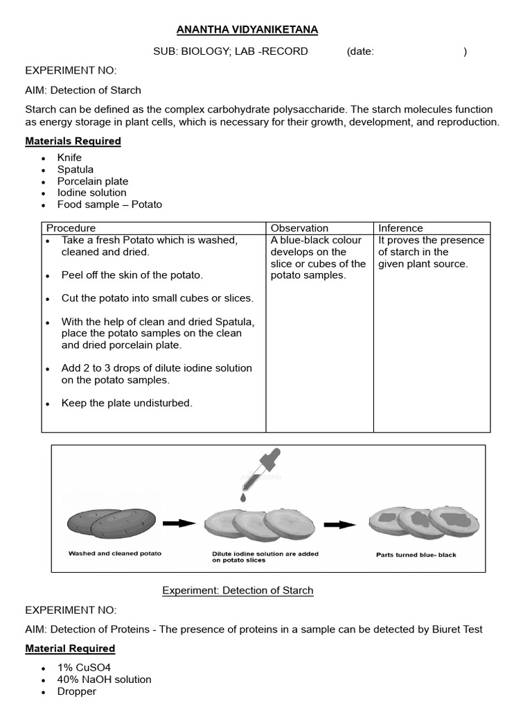 Grade 9 - Bio Experiments - Detection-1 | PDF | Lung | Respiratory System