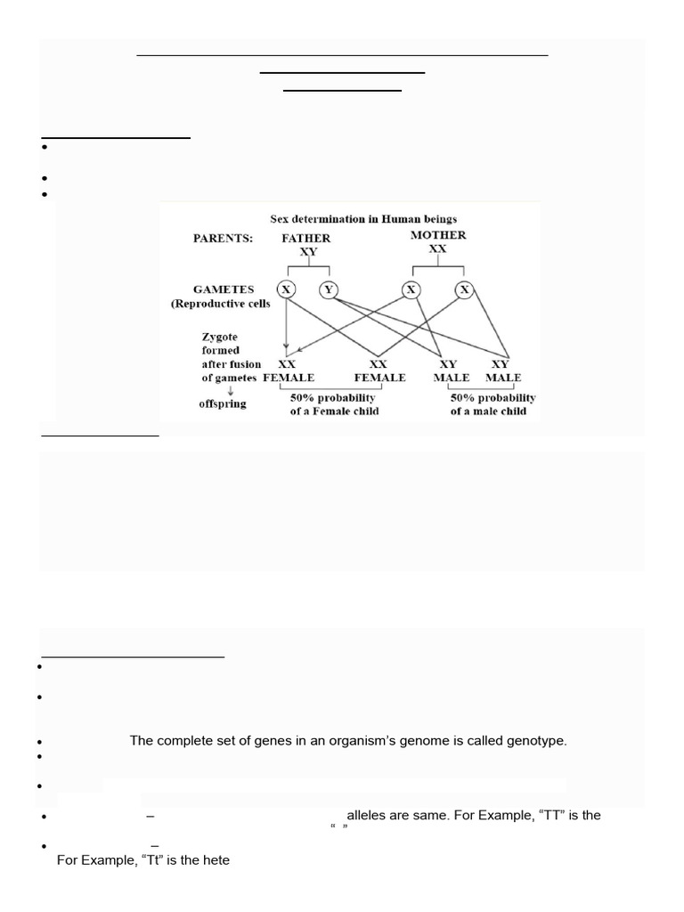 Ch- Heredity ntbk work with QA | PDF | Zygosity | Genetics