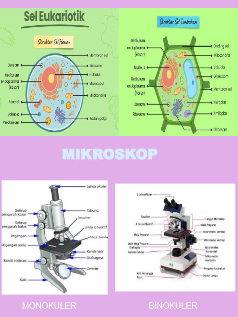 MATERI IPA SEL & MIKROSKOP | PDF