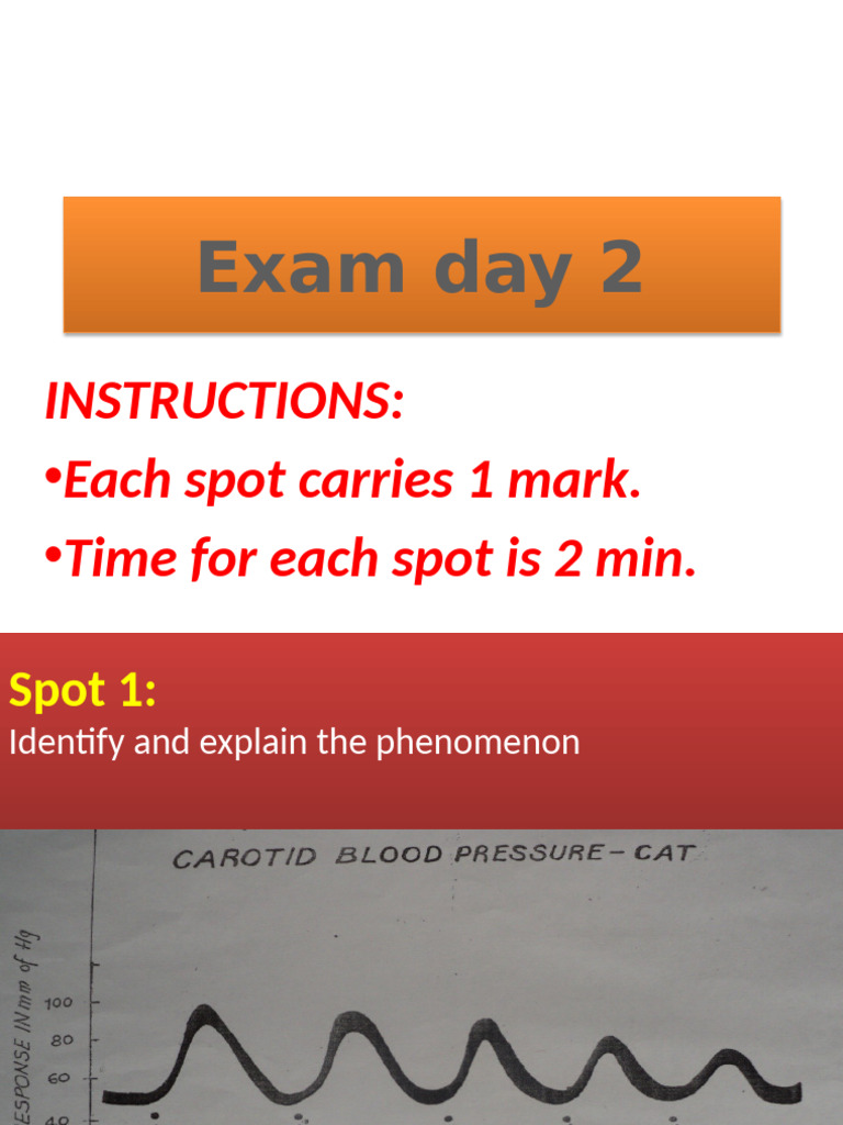 Spots 4.10.14 | PDF