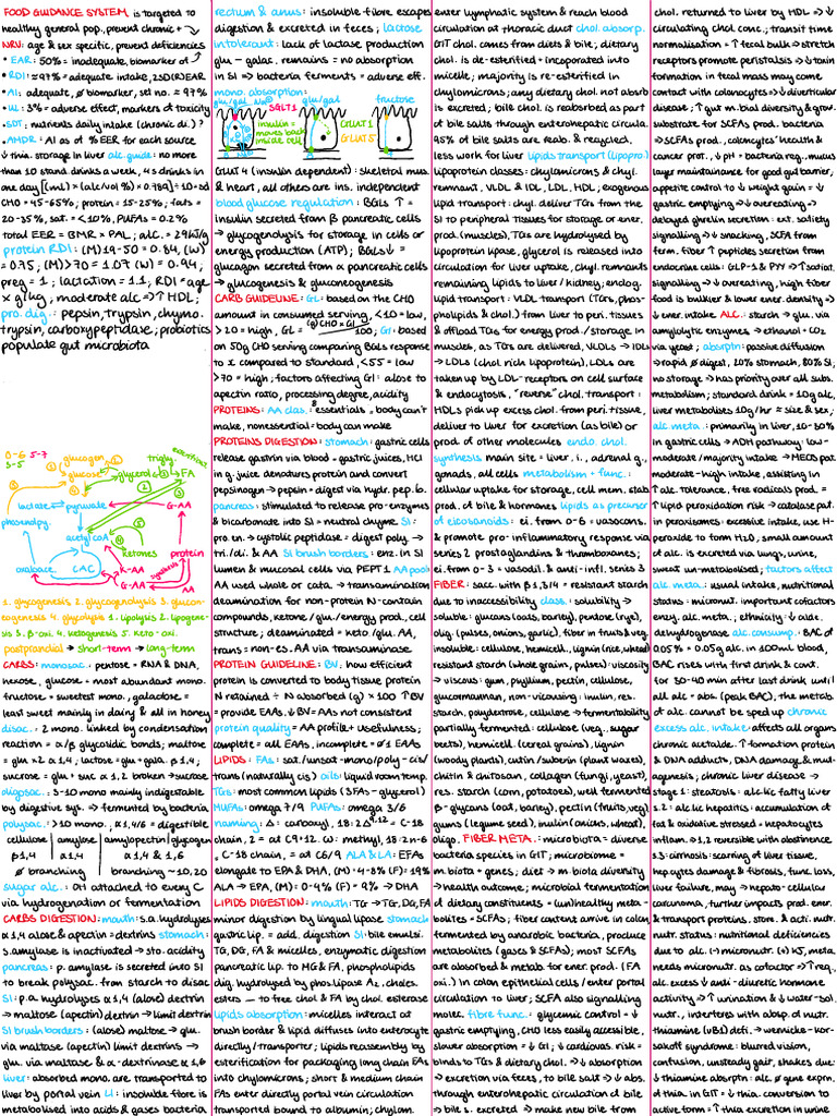 Nutr Cheatsheet | PDF