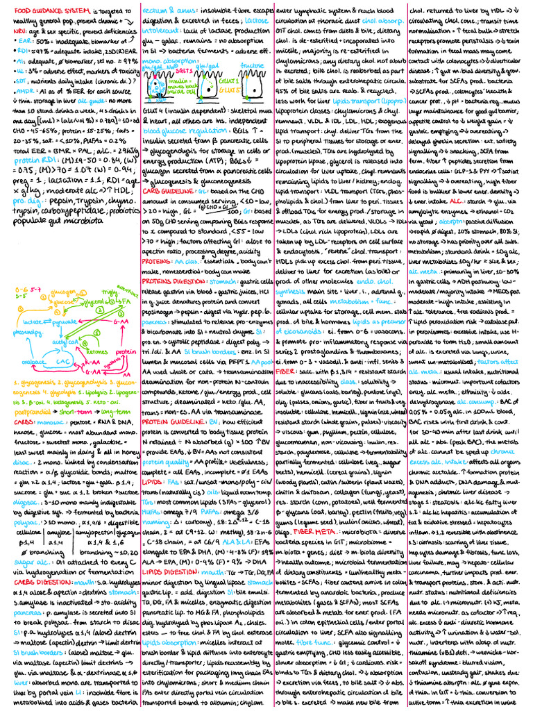 nutr cheatsheet (1) | PDF