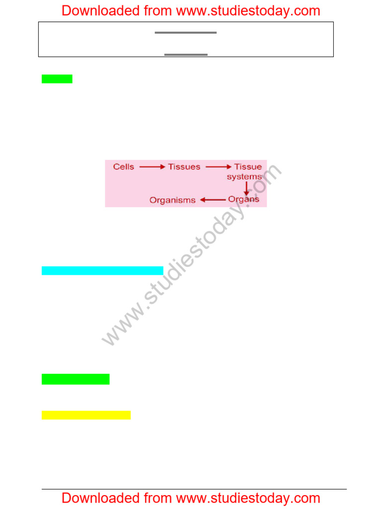 CBSE Class 9 Science Tissues Notes | PDF | Epithelium | Tissue (Biology)
