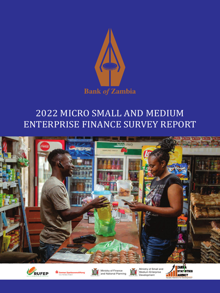 2022 MSME Finance Survey Zambia Report | PDF | Small And Medium Sized ...