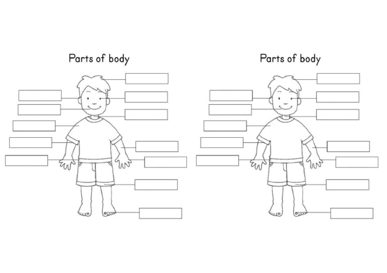 Body Parts Names | PDF