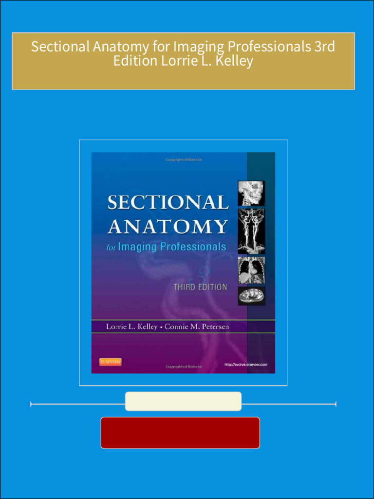 Sectional Anatomy For Imaging Professionals Workbook For Sectional