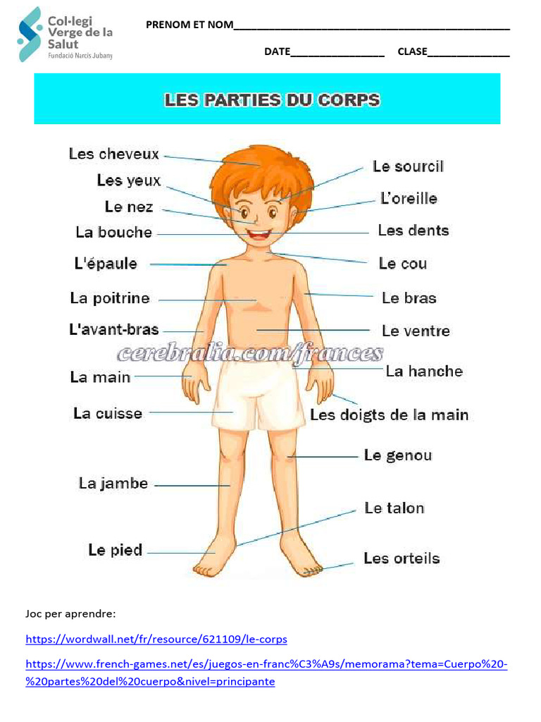 Ex - El Cuerpo - Solucion | PDF