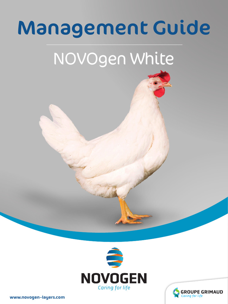 2020-10-CS-Management-guide-Novogen-White-GB- | PDF | Birds | Chicken