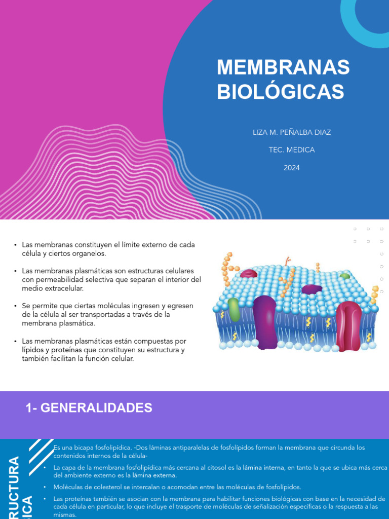 MEMBRANAS BIOLOGICAS.pptx | PDF | Membrana biológica | Membrana celular