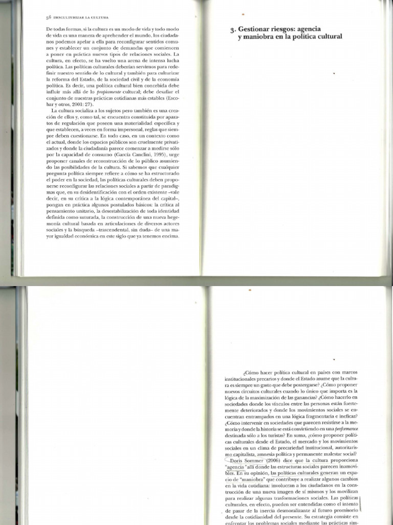 Vich - Capítulo 3 - Gestionar Riesgos | PDF